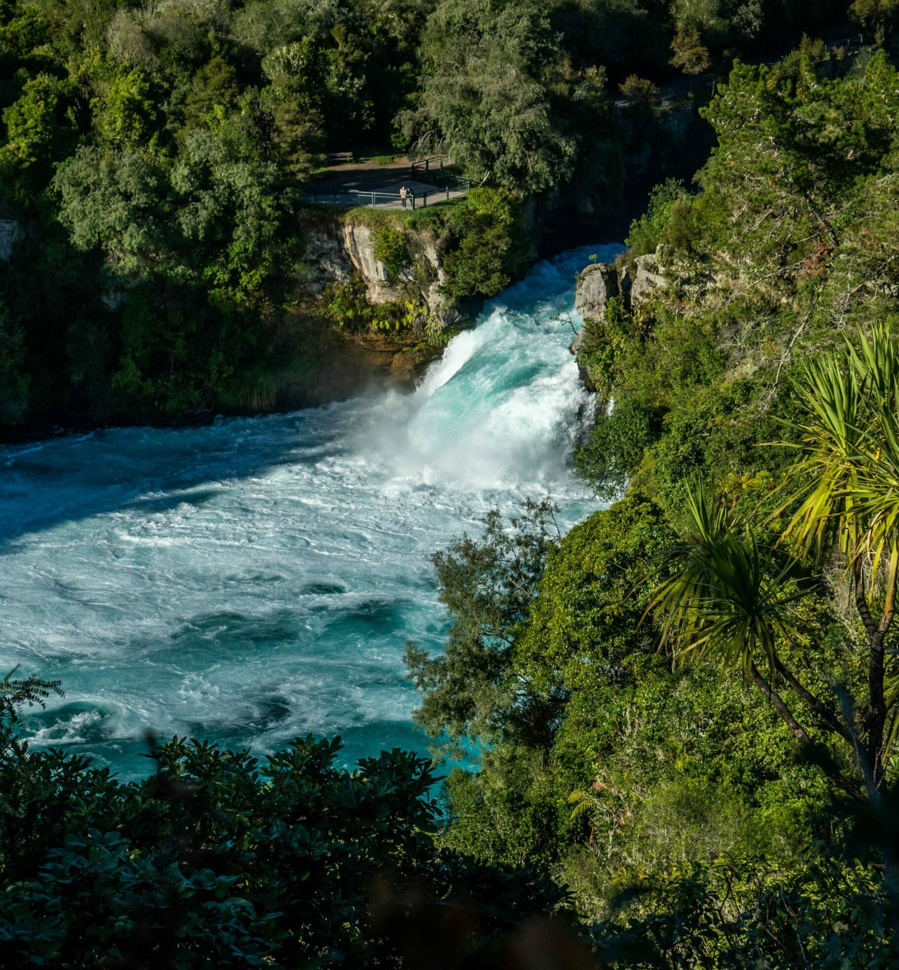 Become a Sponsor | Golf Enterprise New Zealand